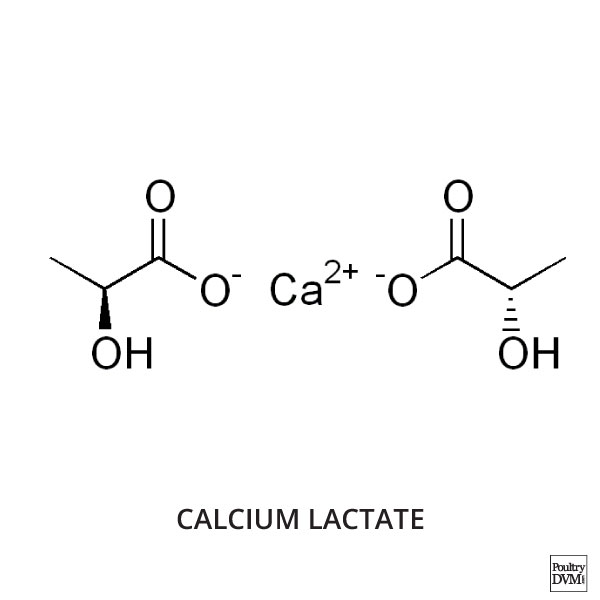Calcium lactate for Chickens and Ducks