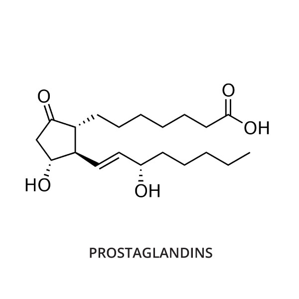 Prostaglandins for Chickens and Ducks