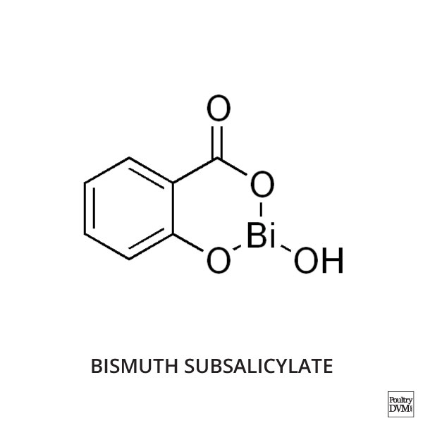 Bismuth subsalicylate for Chickens and Ducks