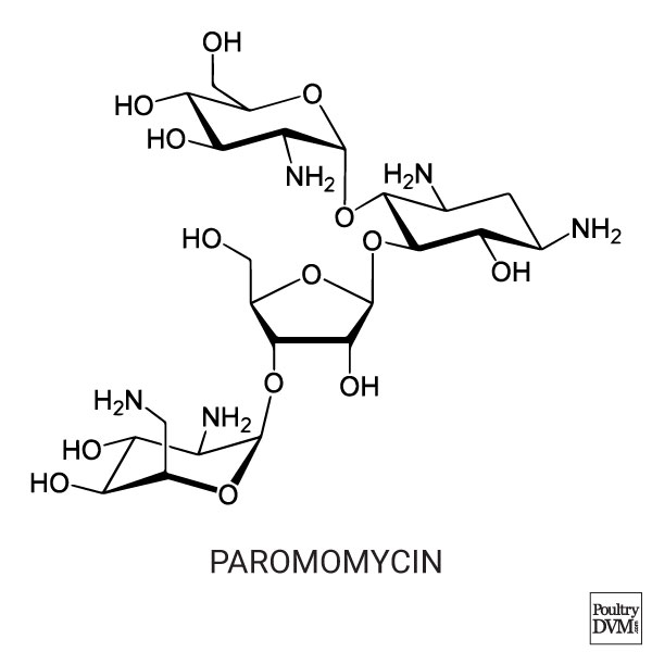 Paromomycin for Chickens and Ducks