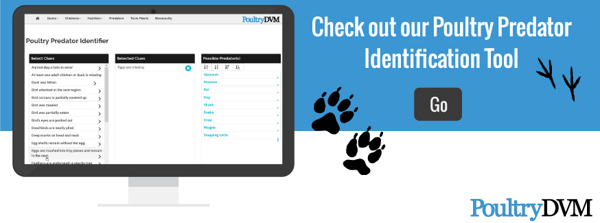 PoultryDVM | Poultry Predator Identification Tool