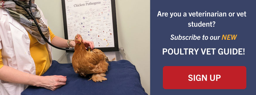 PoultryDVM | Visual, Interactive Poultry Health Information