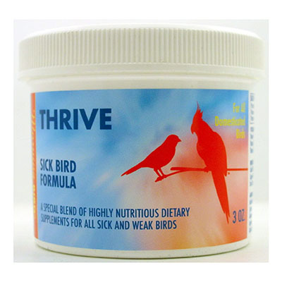 Aspergillosis in Pet Ducks